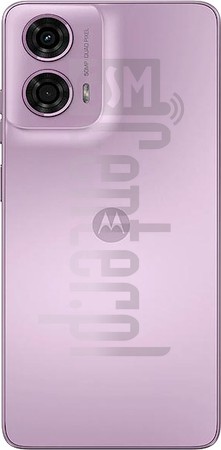 MOTOROLA Moto G24 Specification - IMEI.info